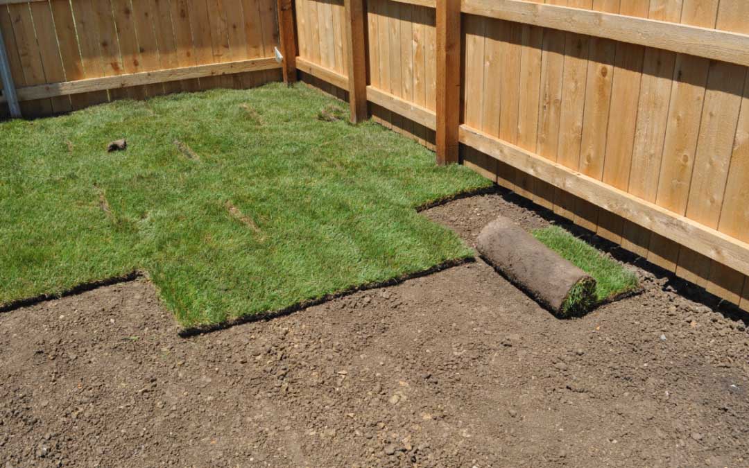 SOD Installation – LawnValue Tampa Florida Your One Stop Shop